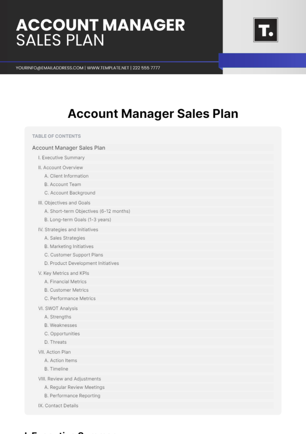 Account Manager Sales Plan Template - Edit Online & Download Example ...