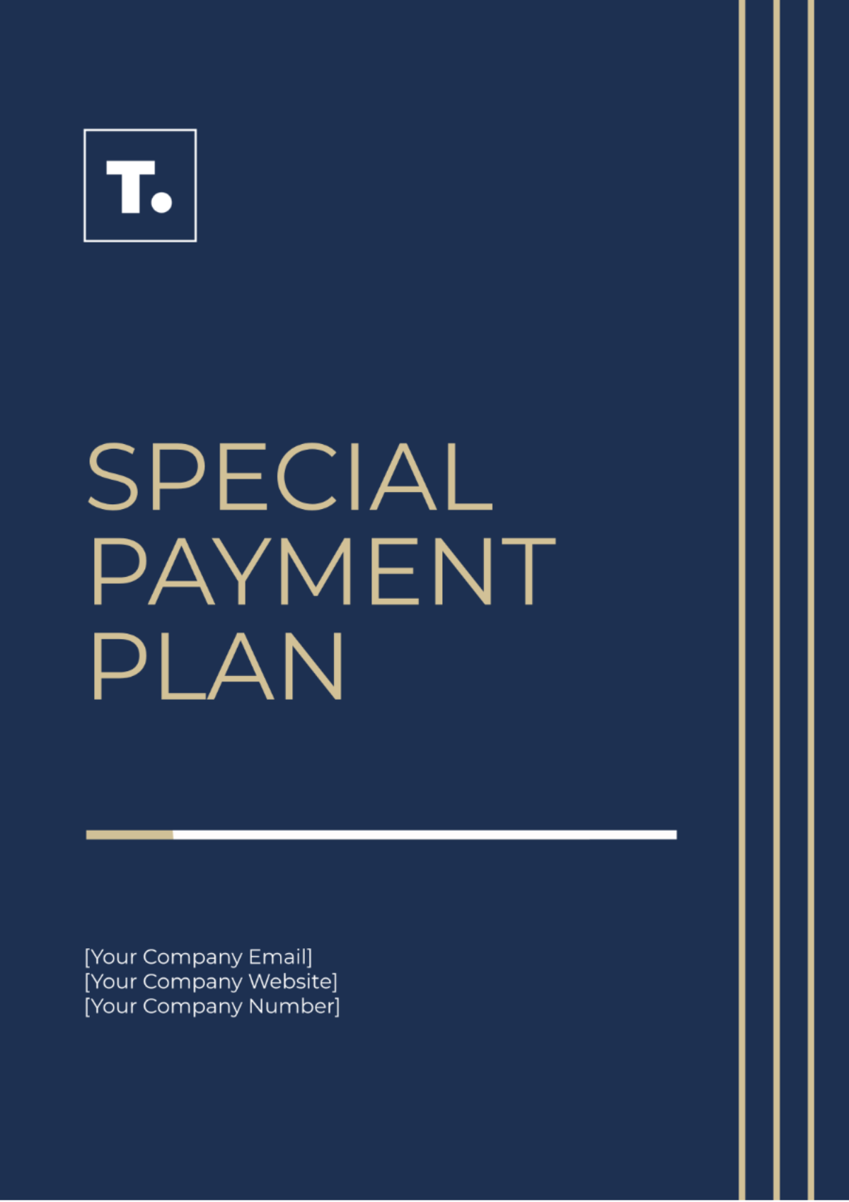 Special Payment Plan Template Edit Online Download Example