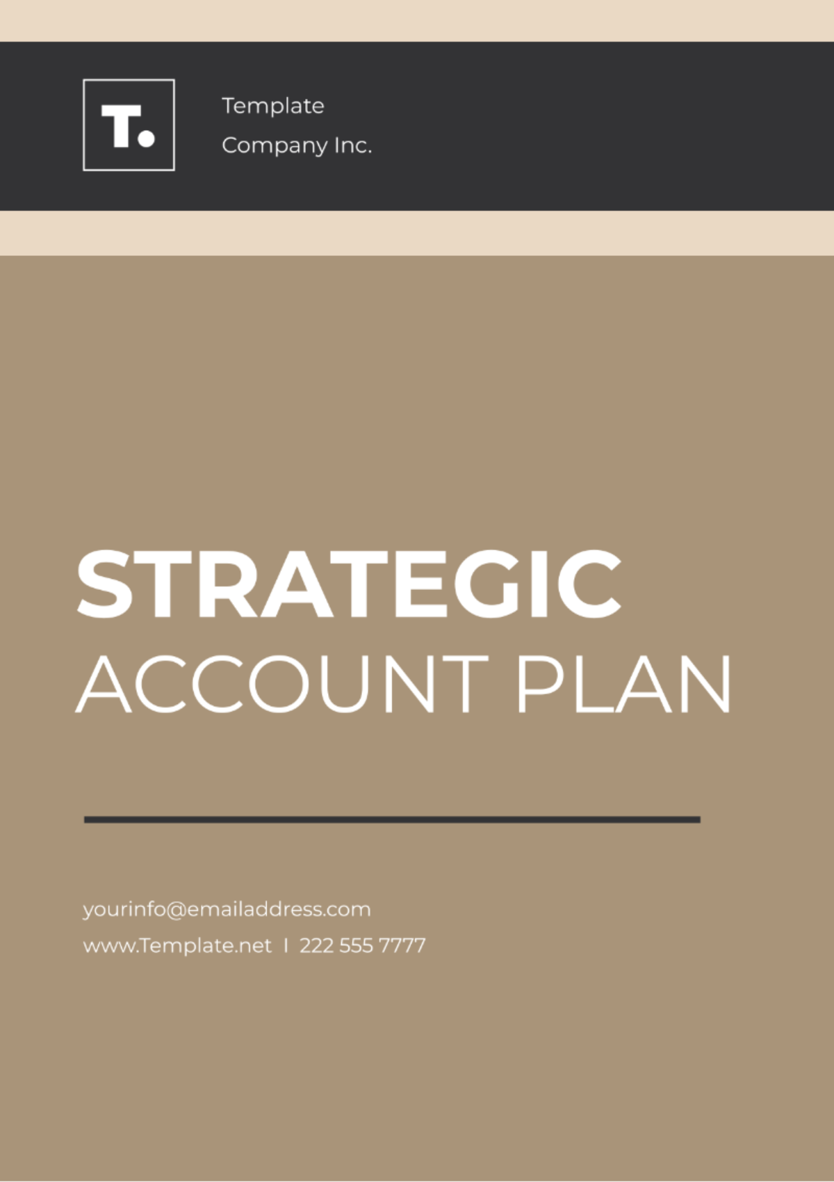 Strategic Account Plan Template - Edit Online & Download Example ... Strategic Account Plan Template - Edit Online & Download Example ...