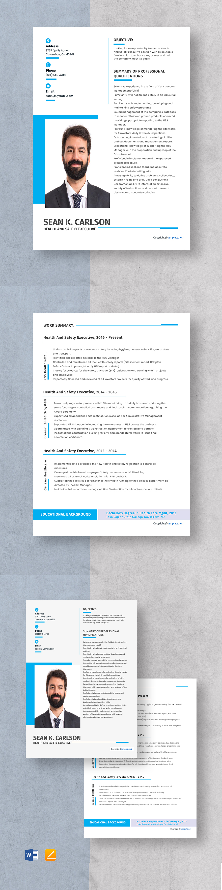 Health And Safety Consultant Resume Template - Word, Apple Pages ...