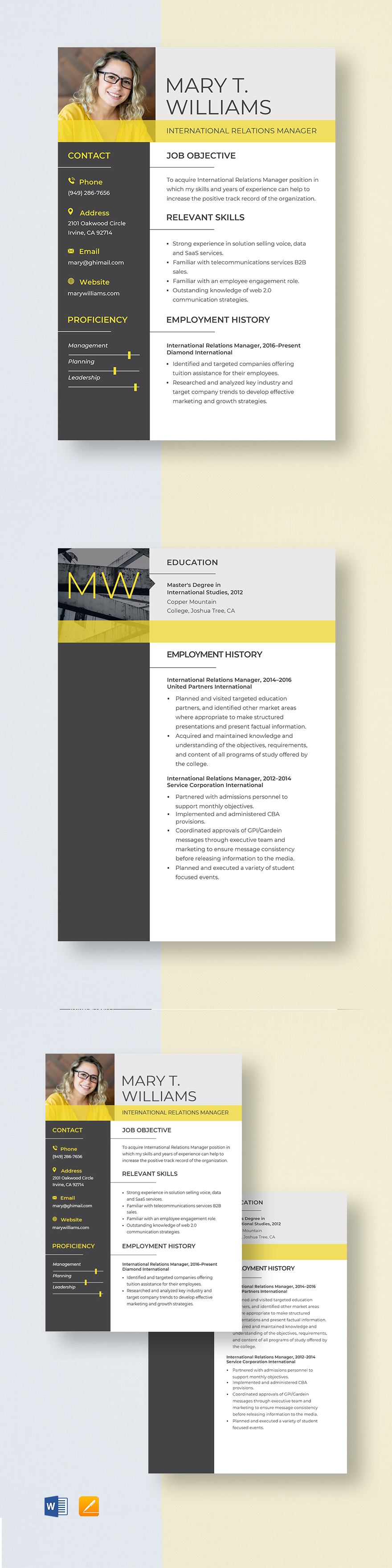 International Relations Manager Resume Template - Word, Apple Pages ...