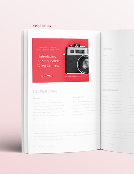 Photography Product Magazine Ads Template - InDesign, Word, Apple Pages ...