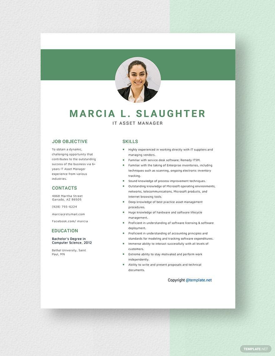 IT Asset Manager Resume In Pages Word Download Template