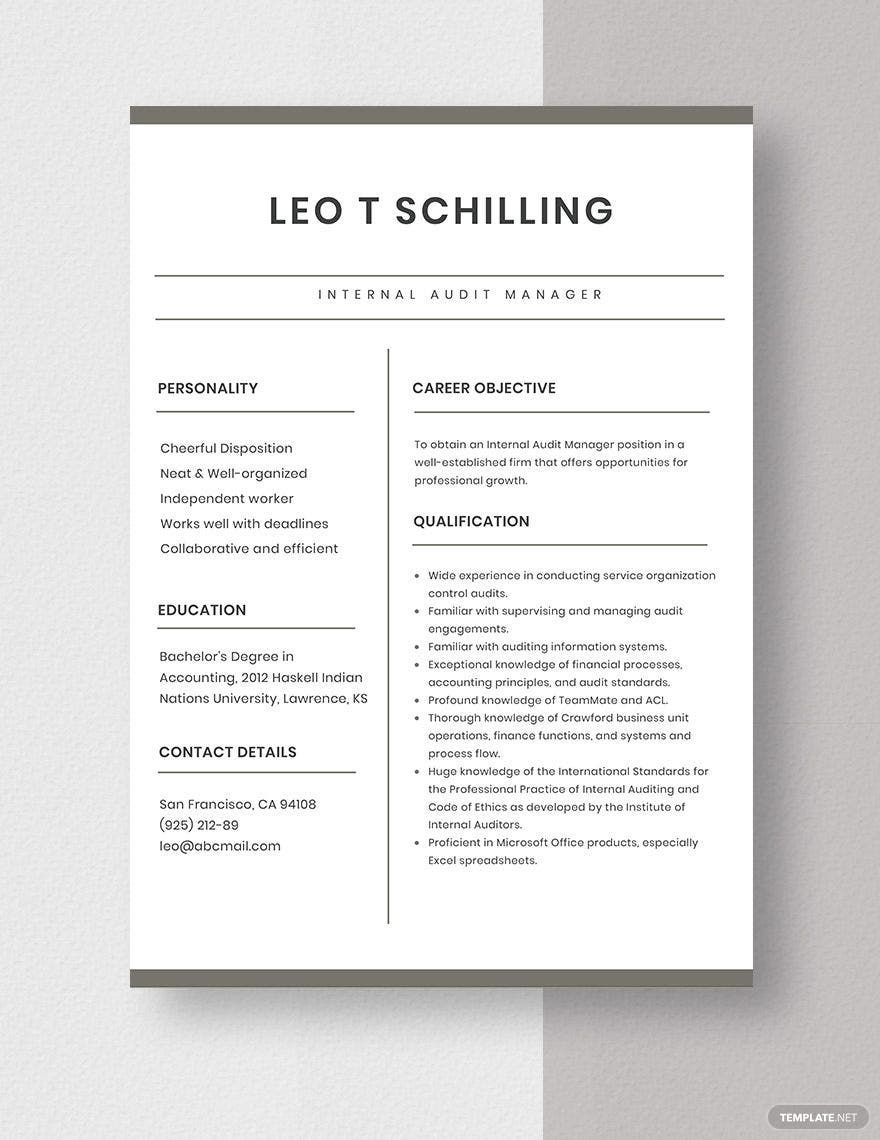 FREE Audit Resume Word Template Download Template