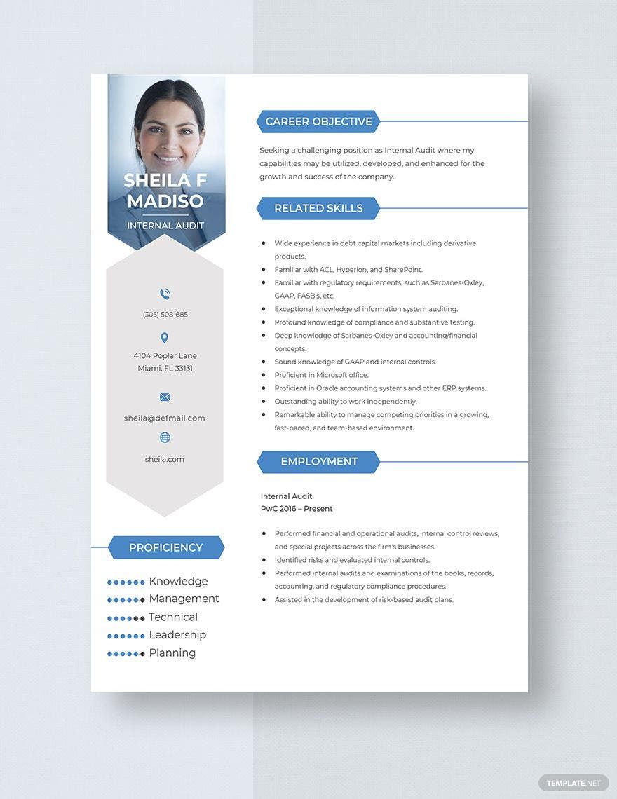Free Internal Audit Resume Download In Word Apple Pages Template