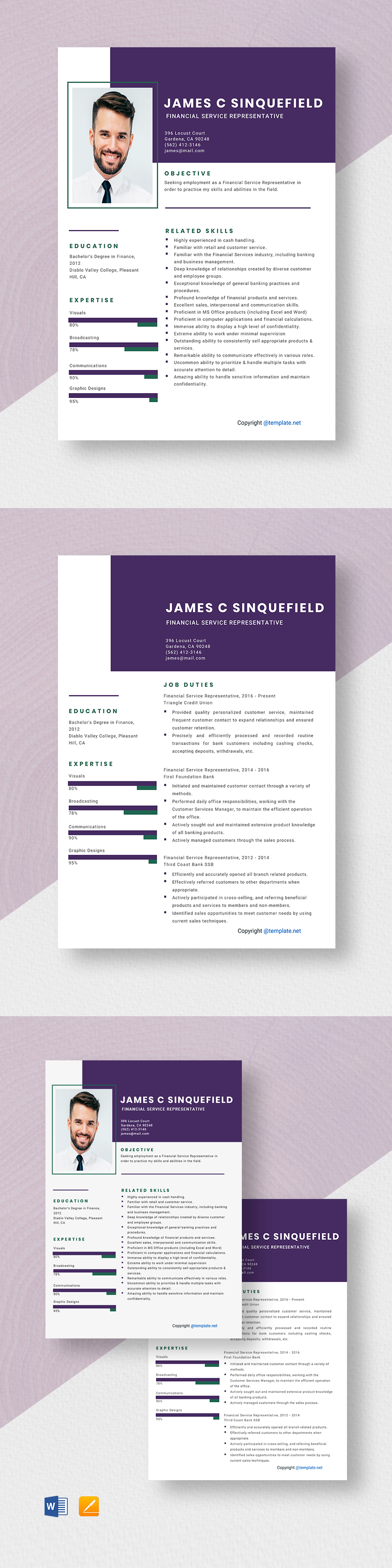 Financial Service Representative Resume Template - Word, Apple Pages ...