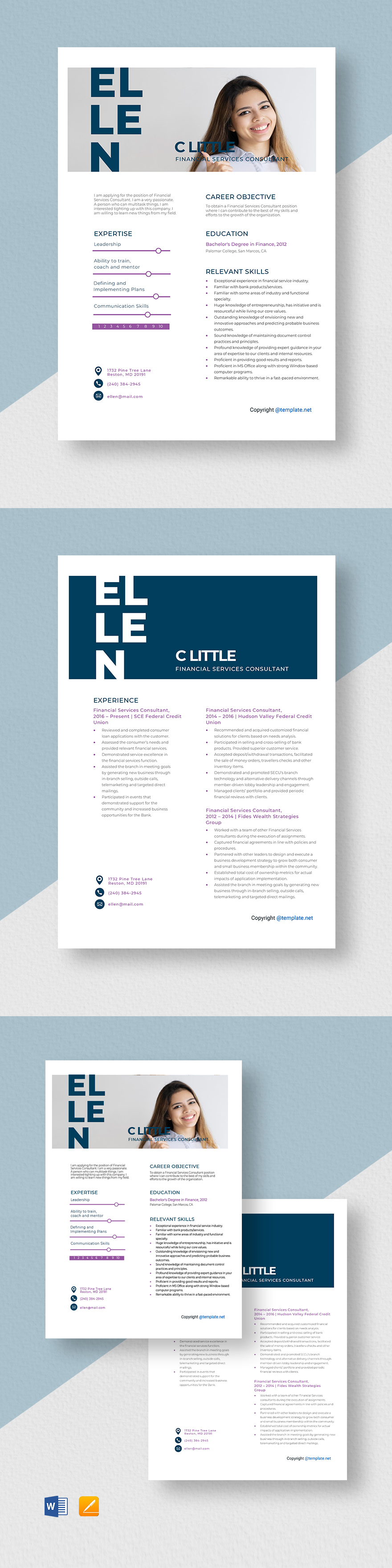 Financial Services Consultant Resume Template - Word, Apple Pages ...