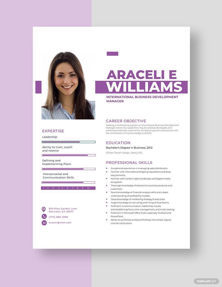 International Business Development Manager Resume Word Apple Pages Template
