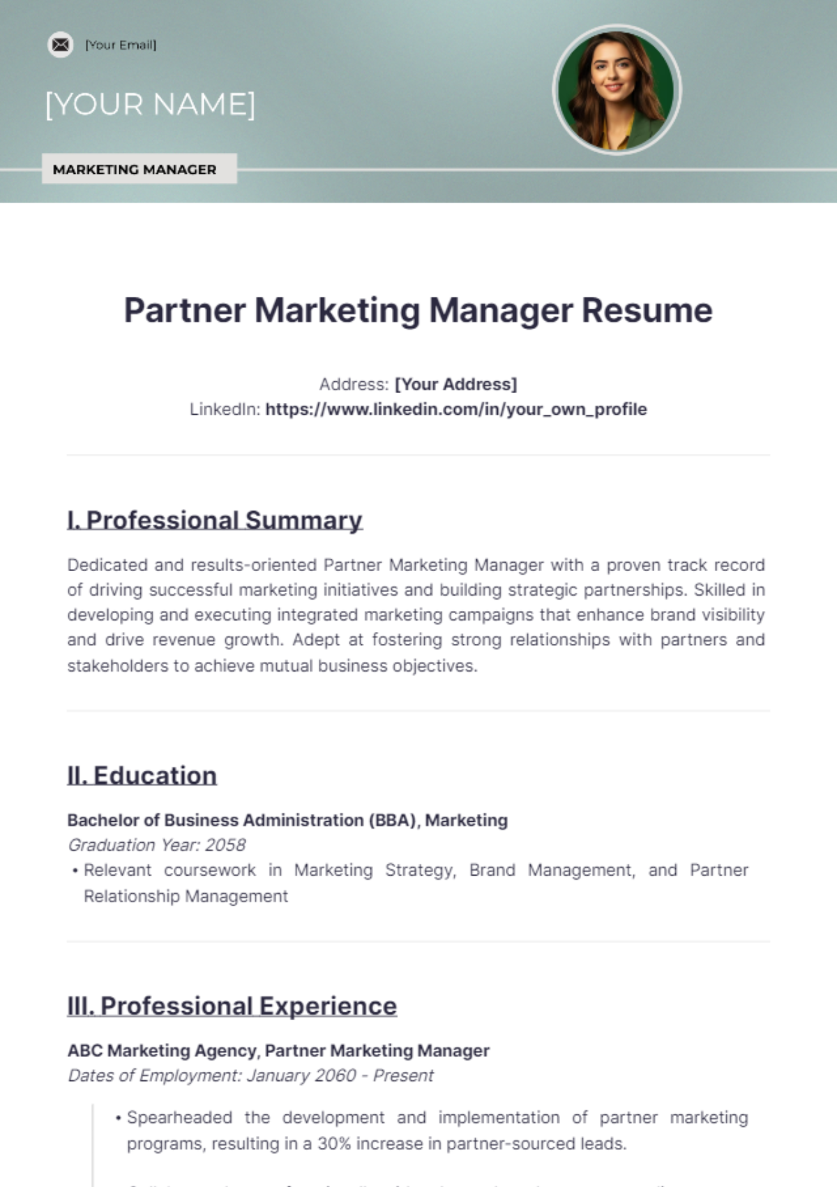 Partner Marketing Manager Resume - Edit Online & Download Example ...