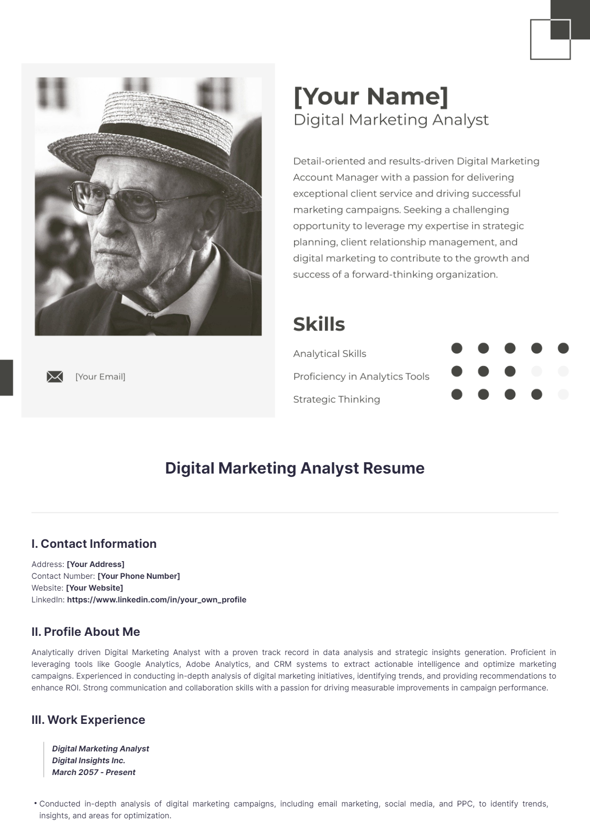 Digital Marketing Analyst Resume - Edit Online & Download Example ...