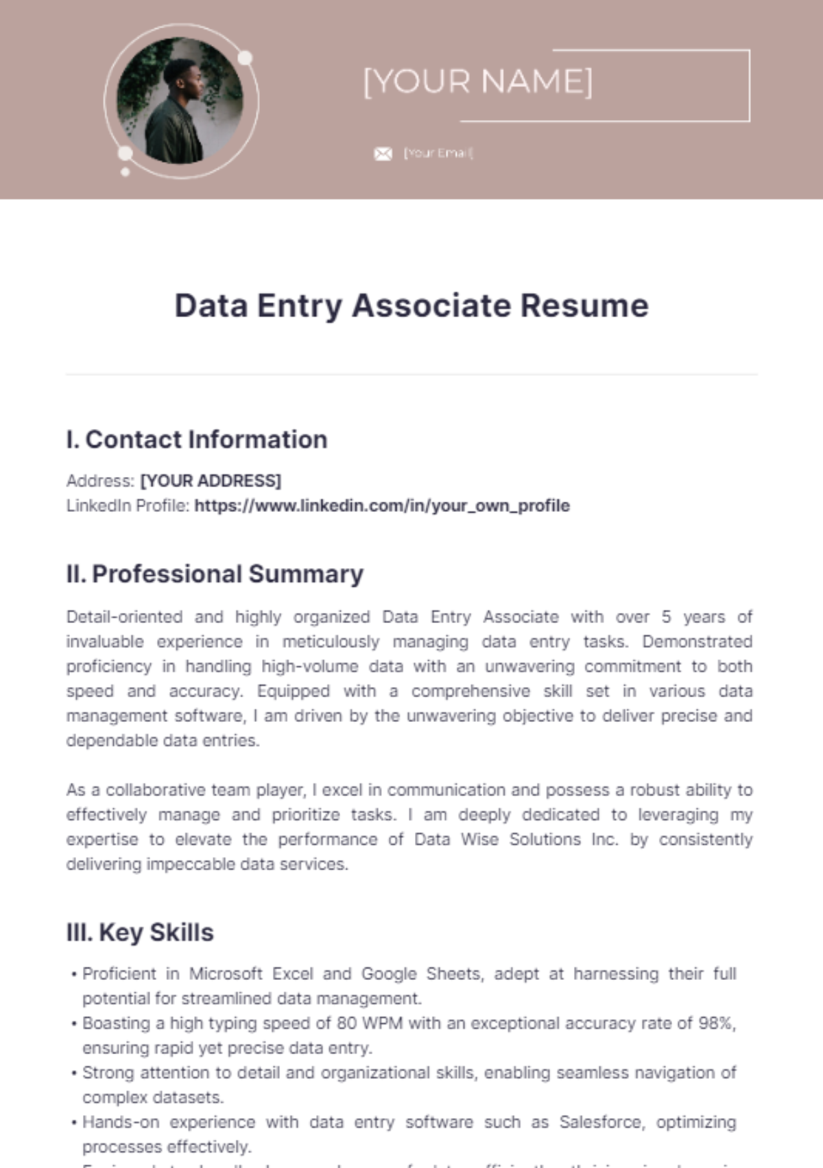 Data Entry Associate Resume - Edit Online & Download Example | Template.net