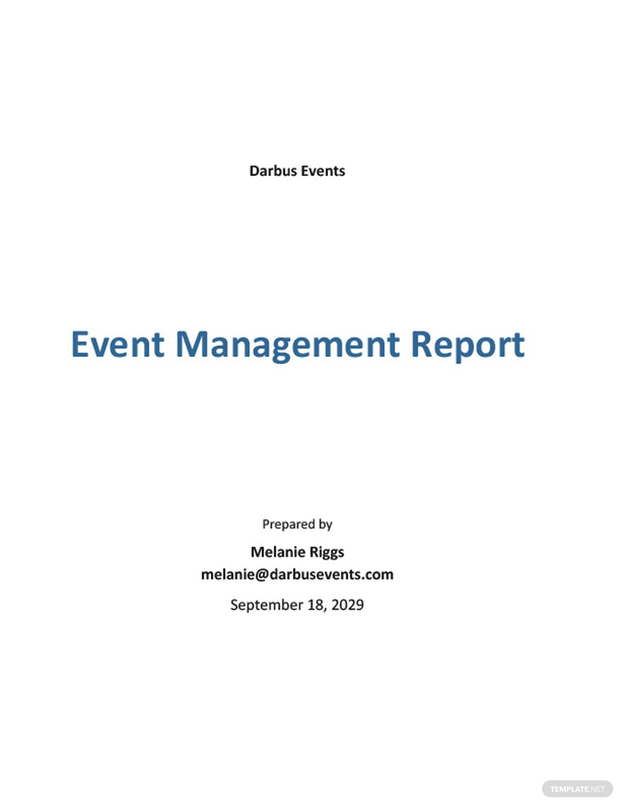 Editable Project Management Report Template Google Docs Word Apple 