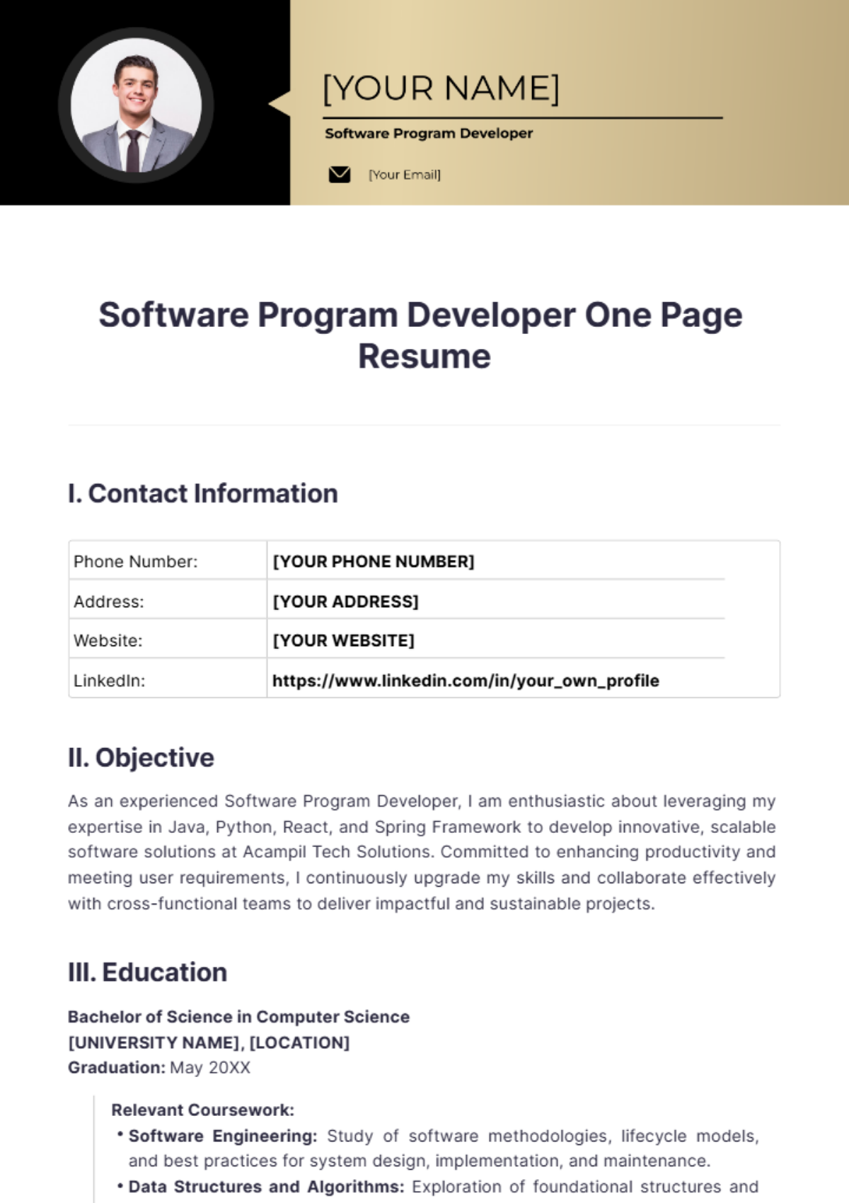 Software Program Developer One Page Resume - Edit Online & Download ...