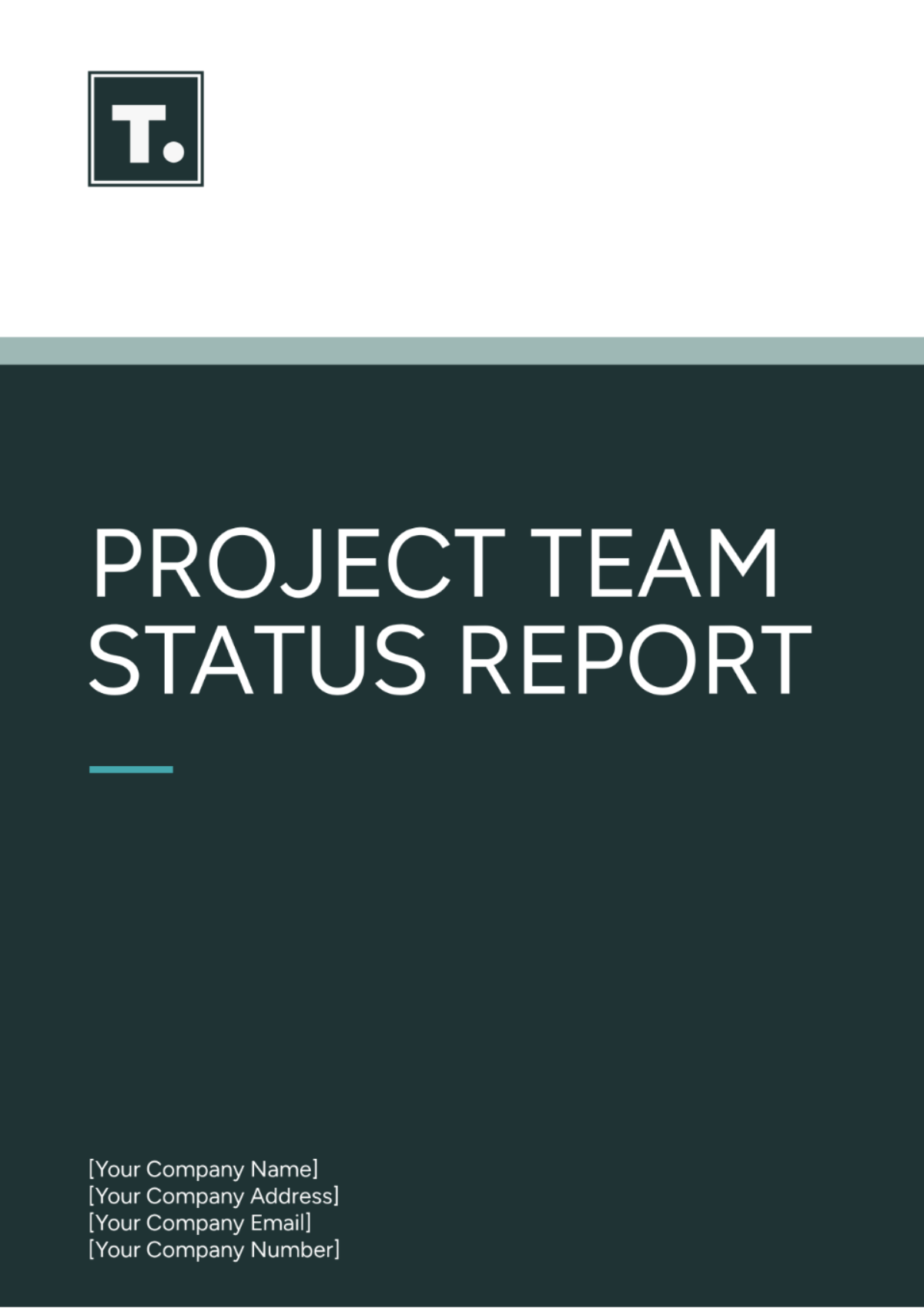 Project Team Status Report Template - Edit Online & Download Example ...