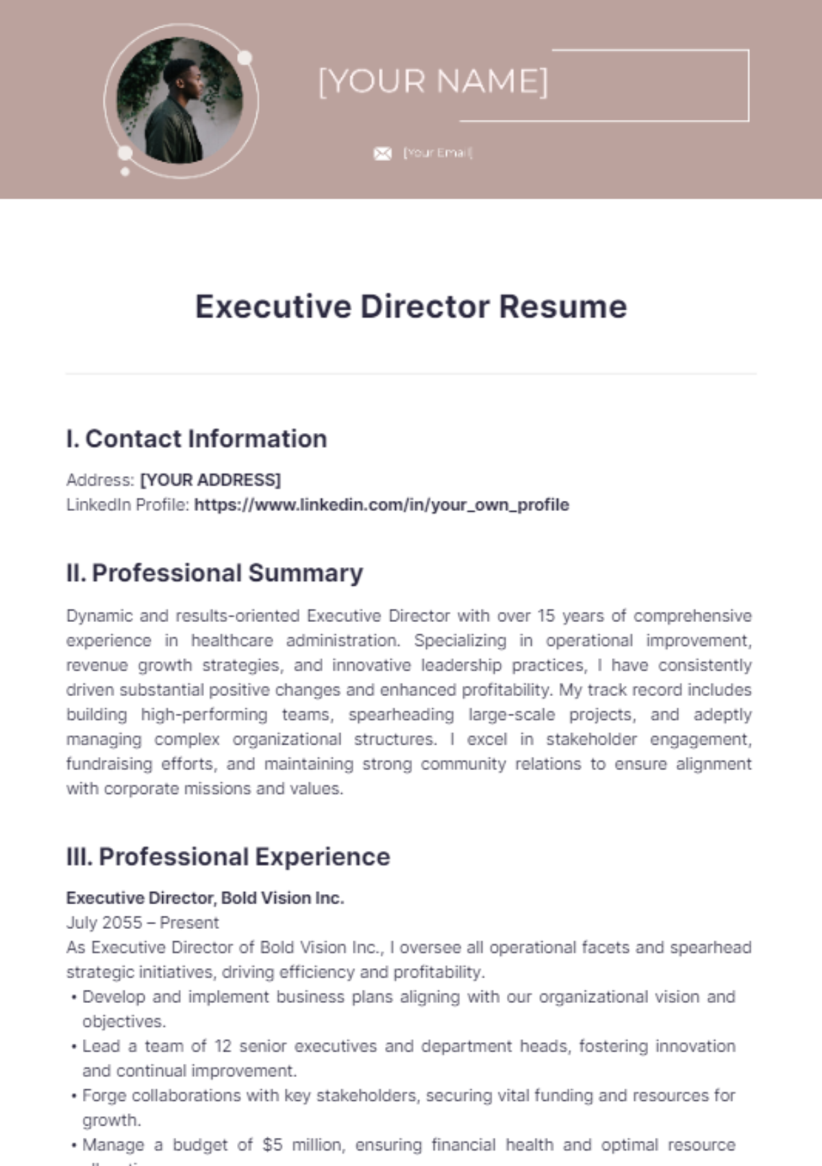 Executive Director Resume - Edit Online & Download Example | Template.net