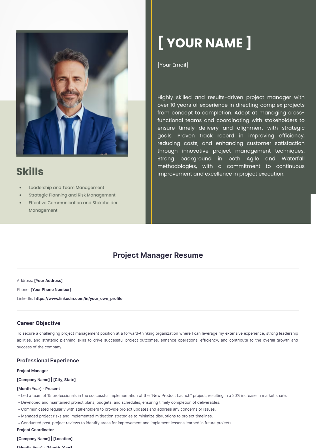 Project Manager Resume Templates - Edit Online & Download Example ...