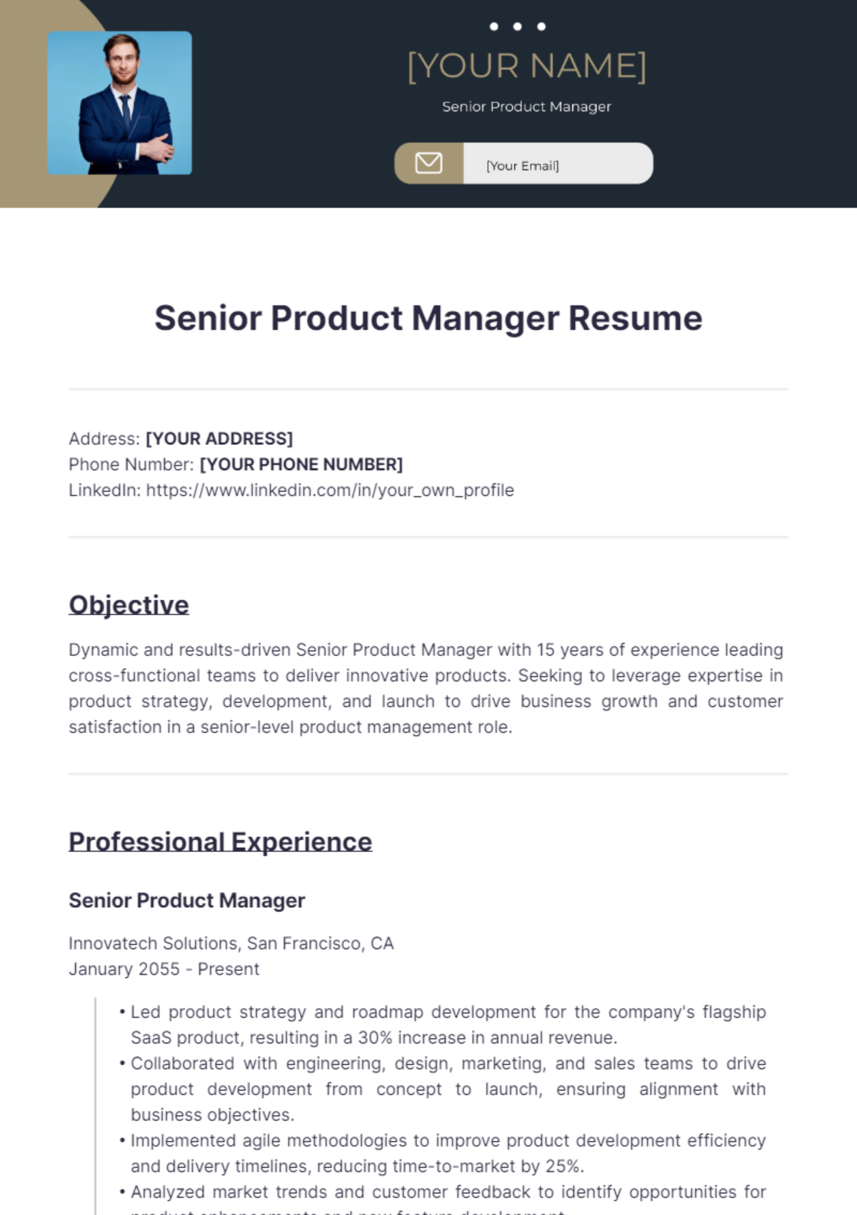Senior Product Manager Resume - Edit Online & Download Example ...