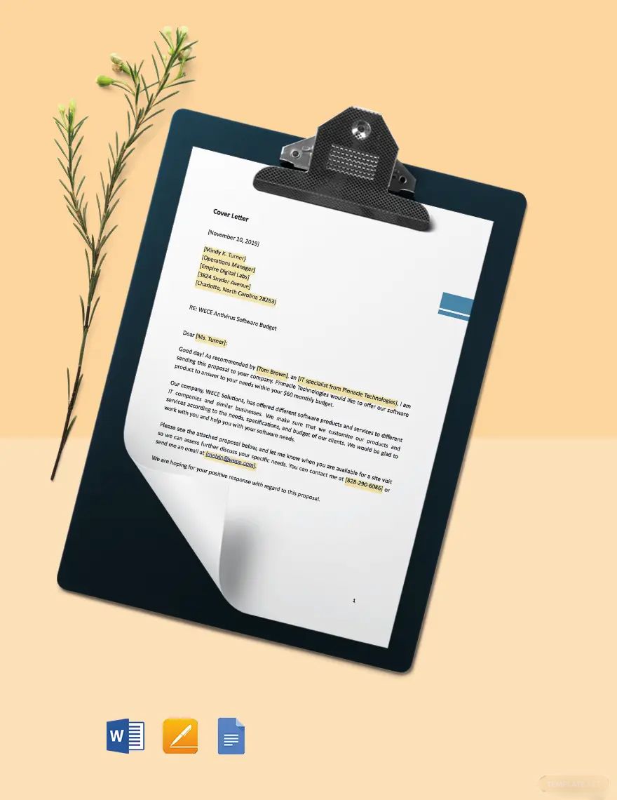 Software Budget Proposal Template Google Docs Word Apple Pages 