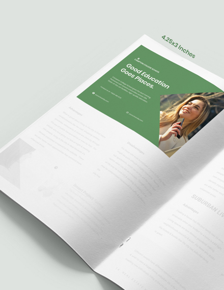 Student Article Magazine Ads Template - InDesign, PSD | Template.net