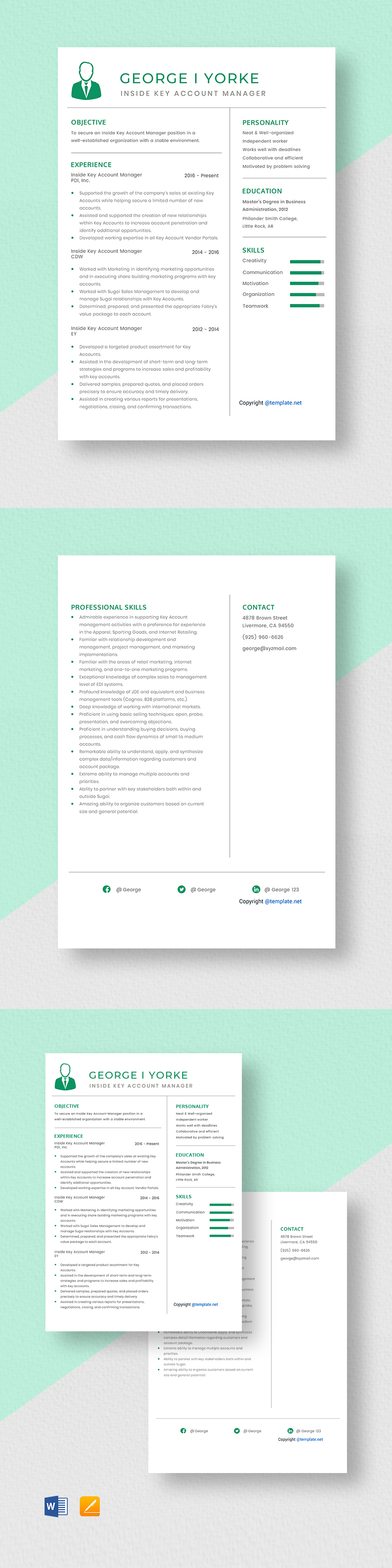 National Key Account Manager Resume Template - Word, Apple Pages ...
