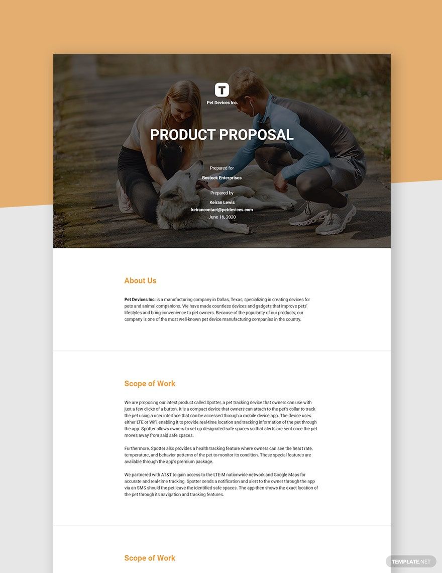 Free Sample Product Proposal Template - Google Docs, Word, Apple Pages ...