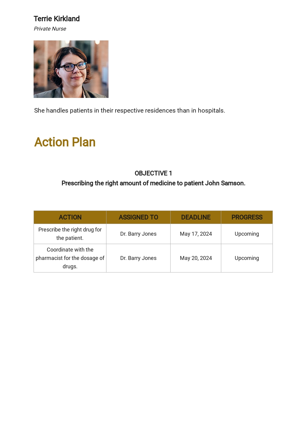 Sample Treatment Plan Template [Free PDF] - Google Docs, Word ...