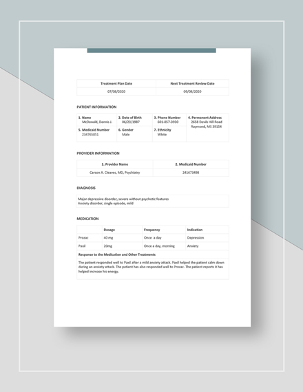 Free Sample Treatment Plan Template - Google Docs, Word, Apple Pages ...