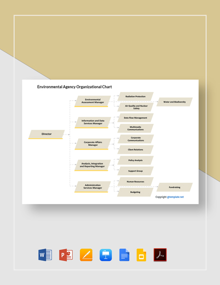 FREE Simple Hospital Organizational Chart Template - PDF | Word (DOC ...