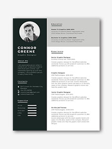 IT Professional Experience Resume Template in Adobe Photoshop, InDesign ...