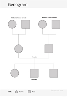 Family Genogram Template in Microsoft Word | Template.net