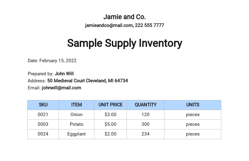 FREE Sample Supply Inventory Template - PDF | Word (DOC) | Apple (MAC ...