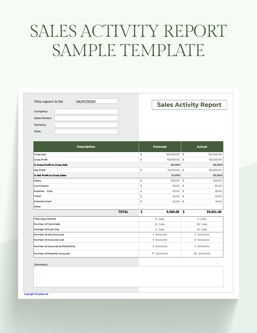 Sales Activity Report Sample Template Google Docs Google Sheets Excel Word Apple Numbers 