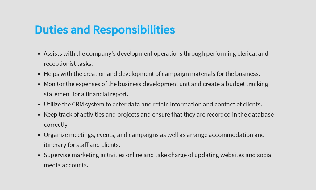 Business Development Administrator Job Description Template Free PDF 