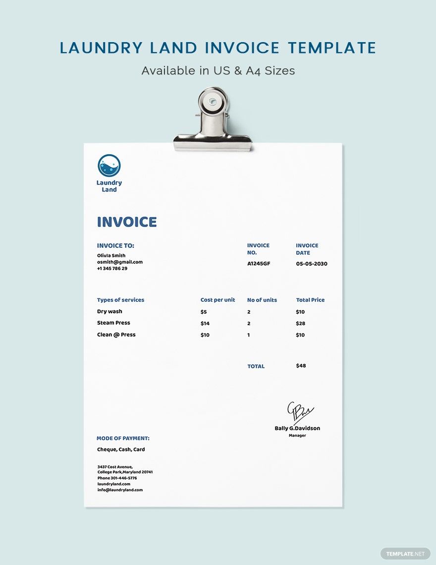 Laundry Invoice Template - Google Docs, Google Sheets, Illustrator ...