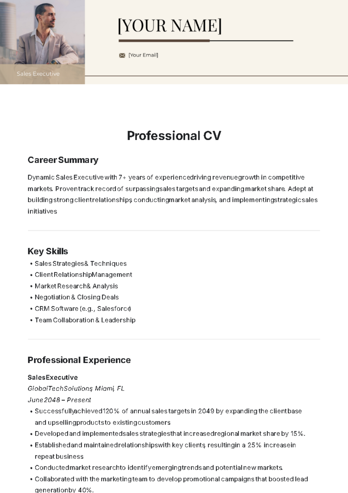 Professional CV Template - Edit Online & Download Example | Template.net