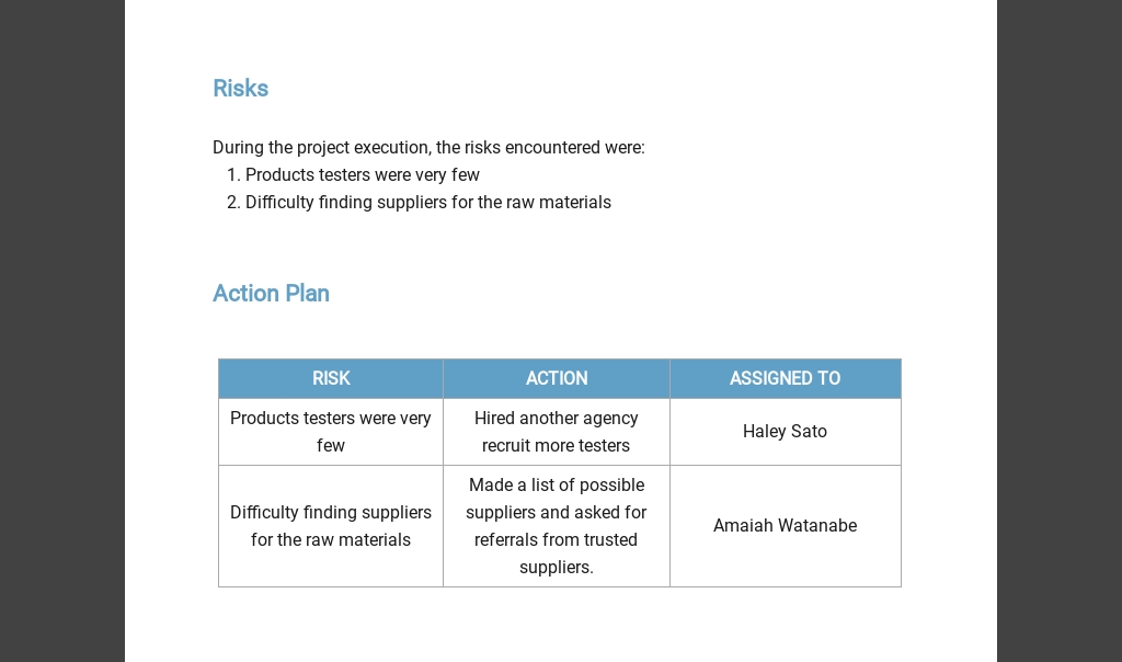 FREE Executive Weekly Status Report Template - PDF | Word (DOC) | Apple ...