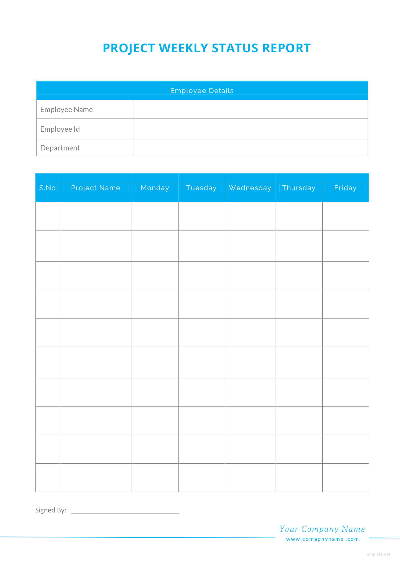 Blank Weekly Project Status Report Template In Microsoft Word 