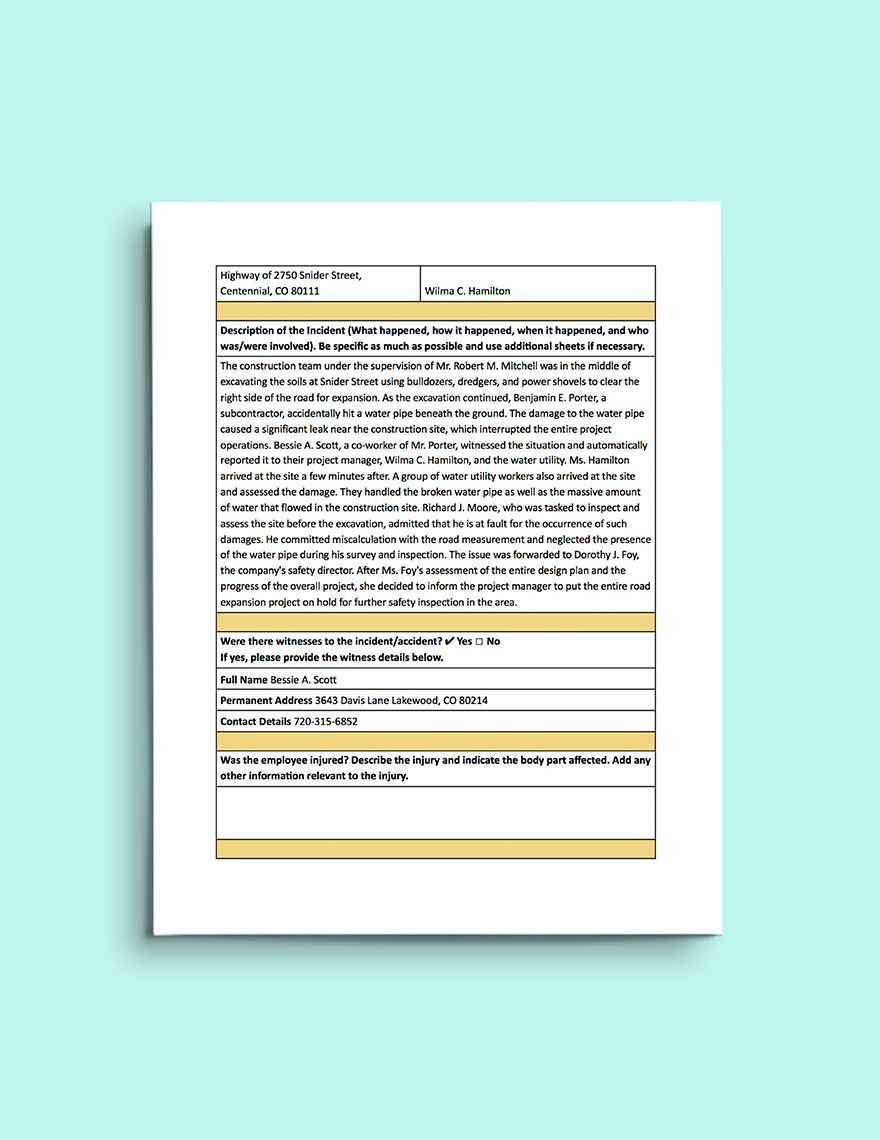 Construction Action Plan Template - Google Docs, Word, Apple Pages ...
