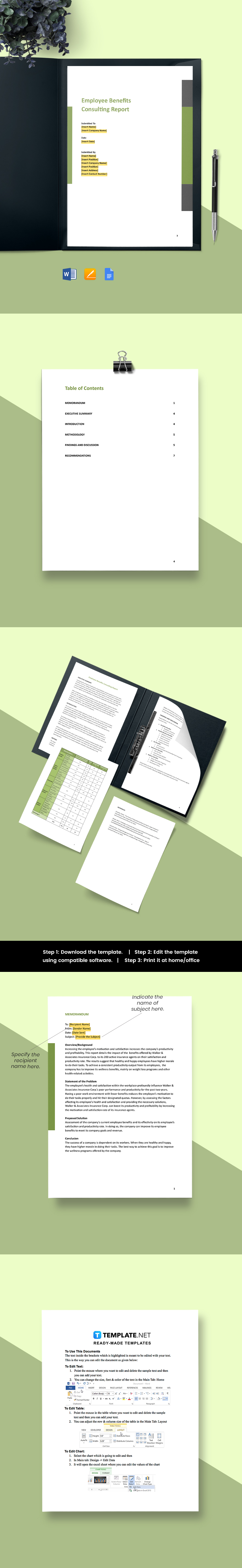 Consulting Recommendations Report Template - Google Docs, Word ...