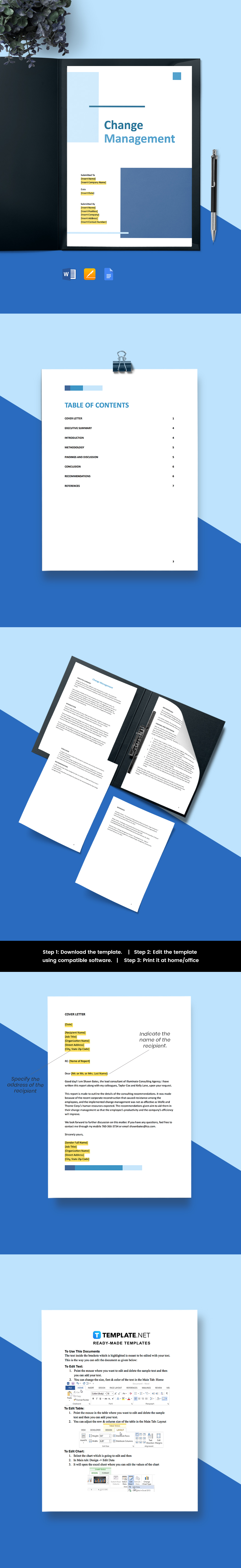 Consulting Recommendations Report Template - Google Docs, Word ...