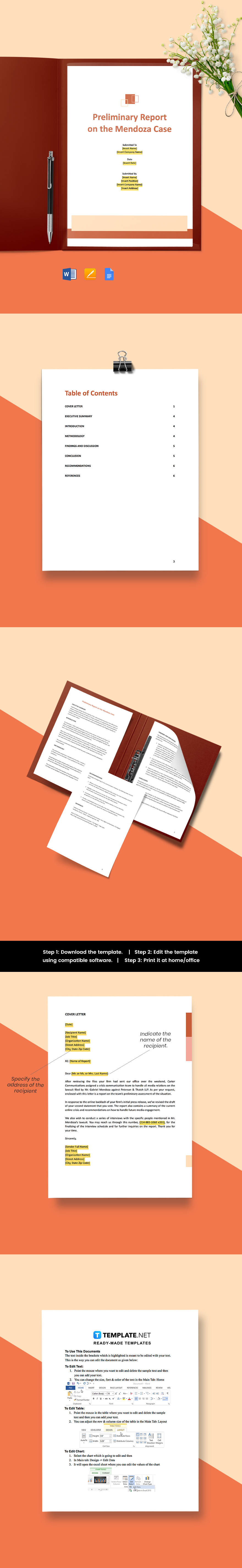 Consulting Recommendations Report Template - Google Docs, Word ...