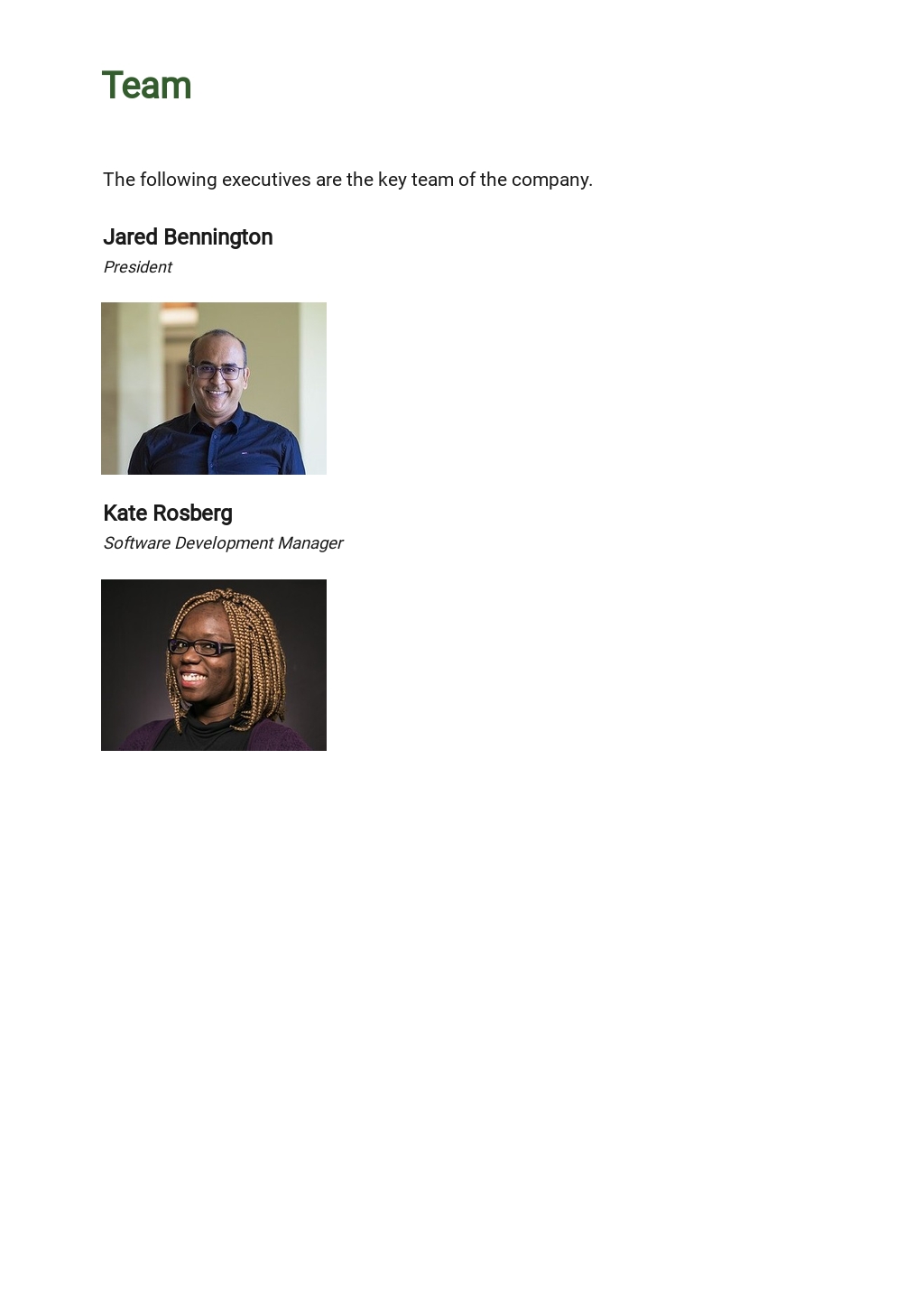 Sample Software Business Plan Template [Free PDF] - Word (DOC) | Apple ...