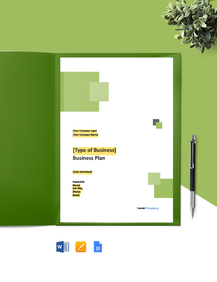 Sample Software Business Plan Template - Google Docs, Word, Apple Pages ...