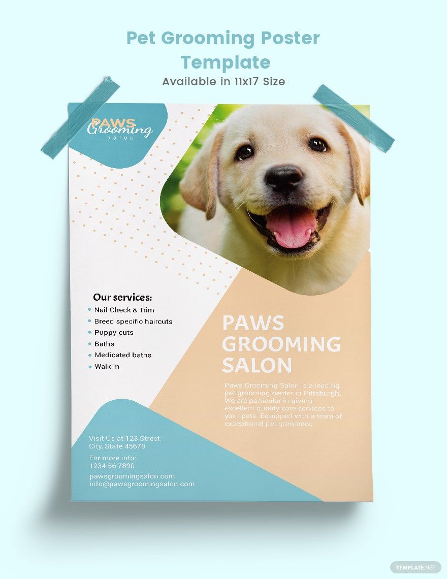 Free Pet Grooming Poster Template Download In Word Illustrator PSD 