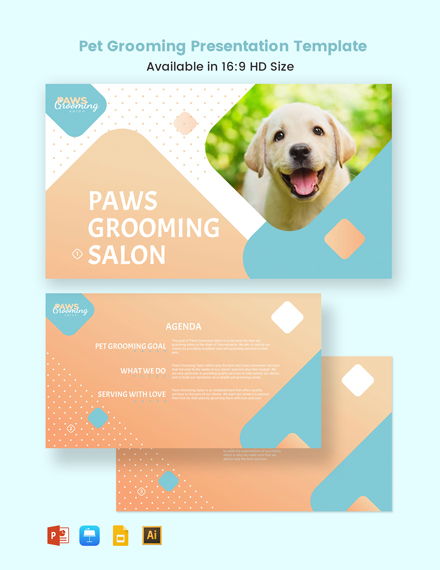 Software Developer Portfolio Presentation Template - Edit Online ...