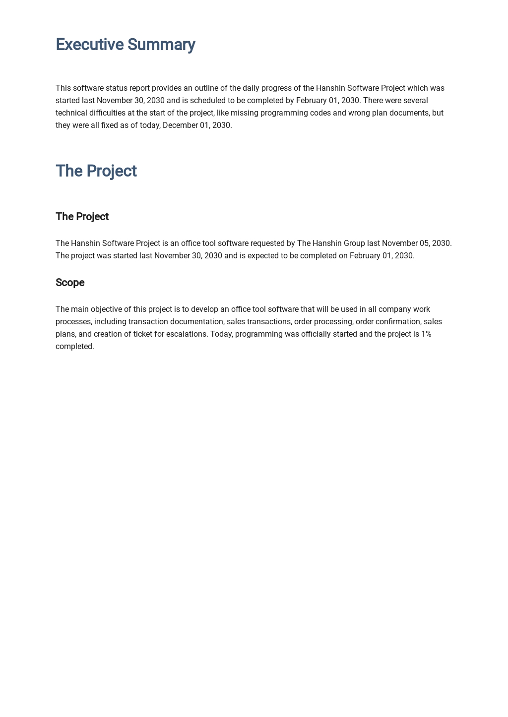 Software Daily Status Report Template Google Docs Word Template