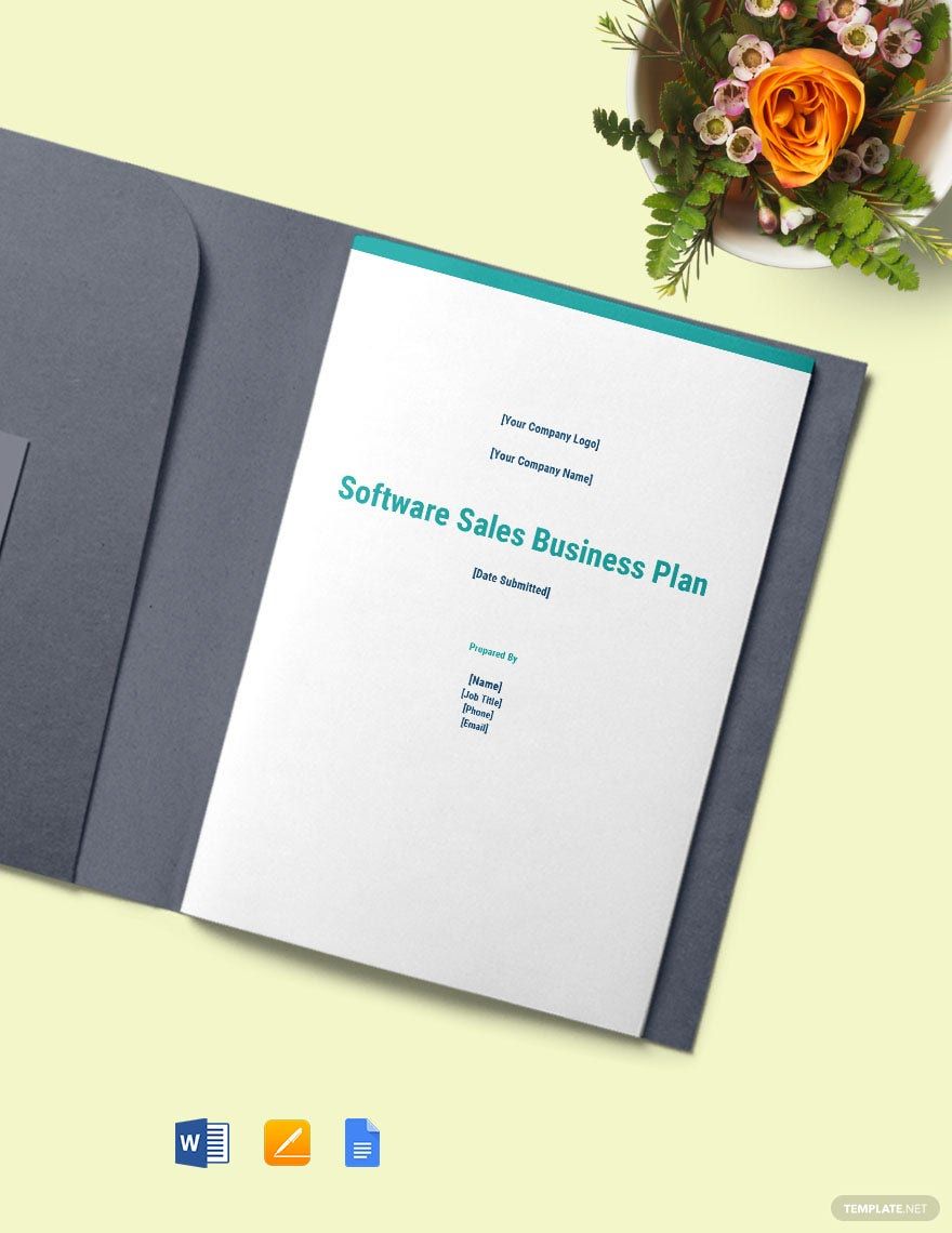Software Sales Business Plan Template Download In Word Google Docs 