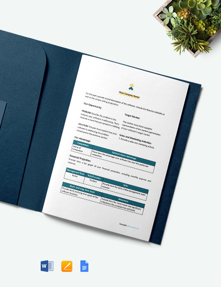 Sample Software Business Plan Template - Google Docs, Word, Apple Pages ...