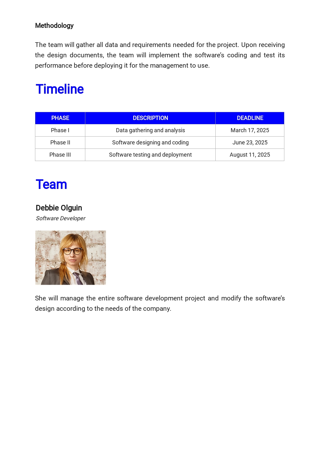 Simple IT & Software Plan Template - Google Docs, Word, Apple Pages ...