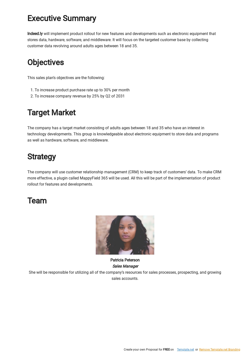 Sample IT Sales Plan Template - Google Docs, Word, Apple Pages, PDF ...